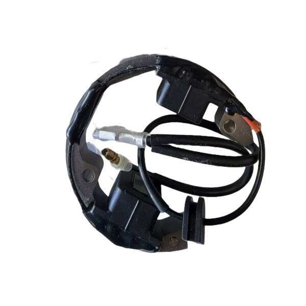 FLYWHEEL STATOR 50CCM | United Motorsports